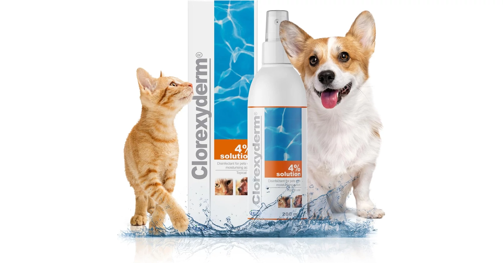 Clorexyderm Oldat Spray kutya cica bőrápoló | Homevet Patika